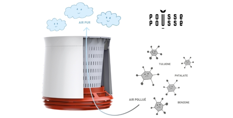 Pousse Pousse veut dépolluer l'air des bureaux • Les Horizons