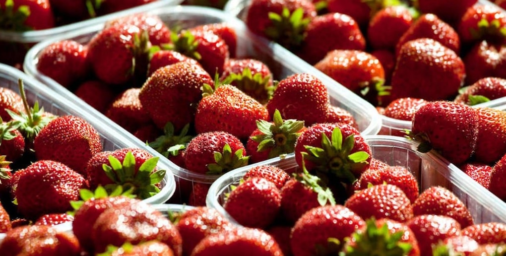 Vers un nouveau label bio, local et équitable • Les Horizons