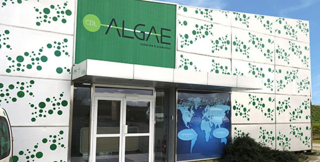 LLDC Algae : un modèle d'utilisation des algues pour l'agriculture • Les Horizons