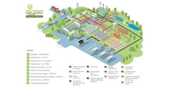 LLDC Algae : un modèle d'utilisation des algues pour l'agriculture • Les Horizons