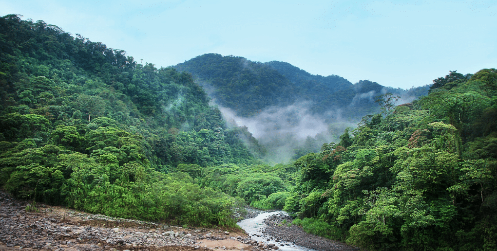 Préserver et restaurer les écosystèmes terrestres : focus sur le 15e ...