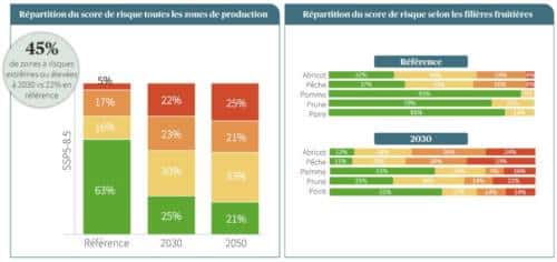 Quel est l’impact du changement climatique sur la production de fruits ...